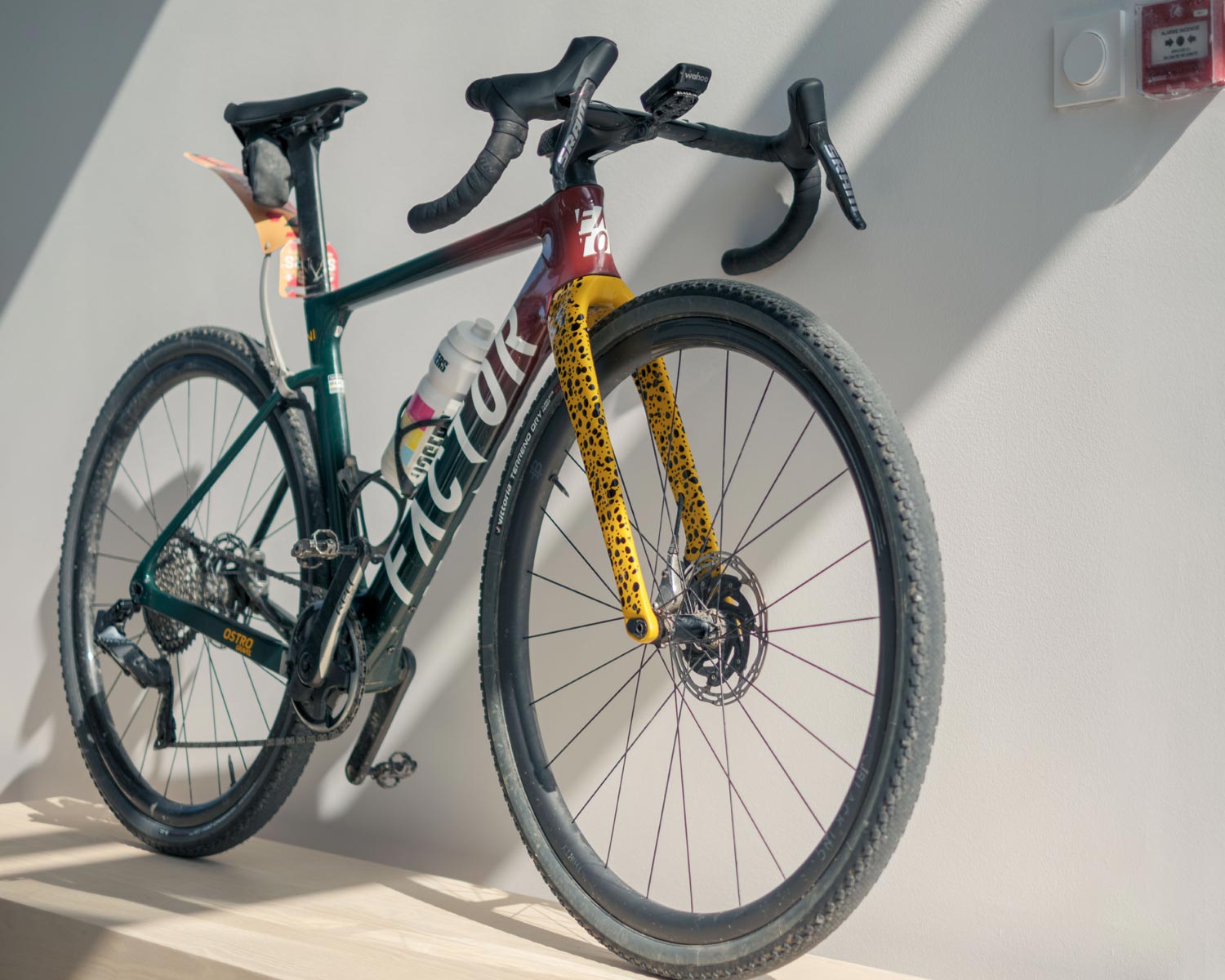 Le Team AMANI : un "espoir" pour le cyclisme africain - Bike Café