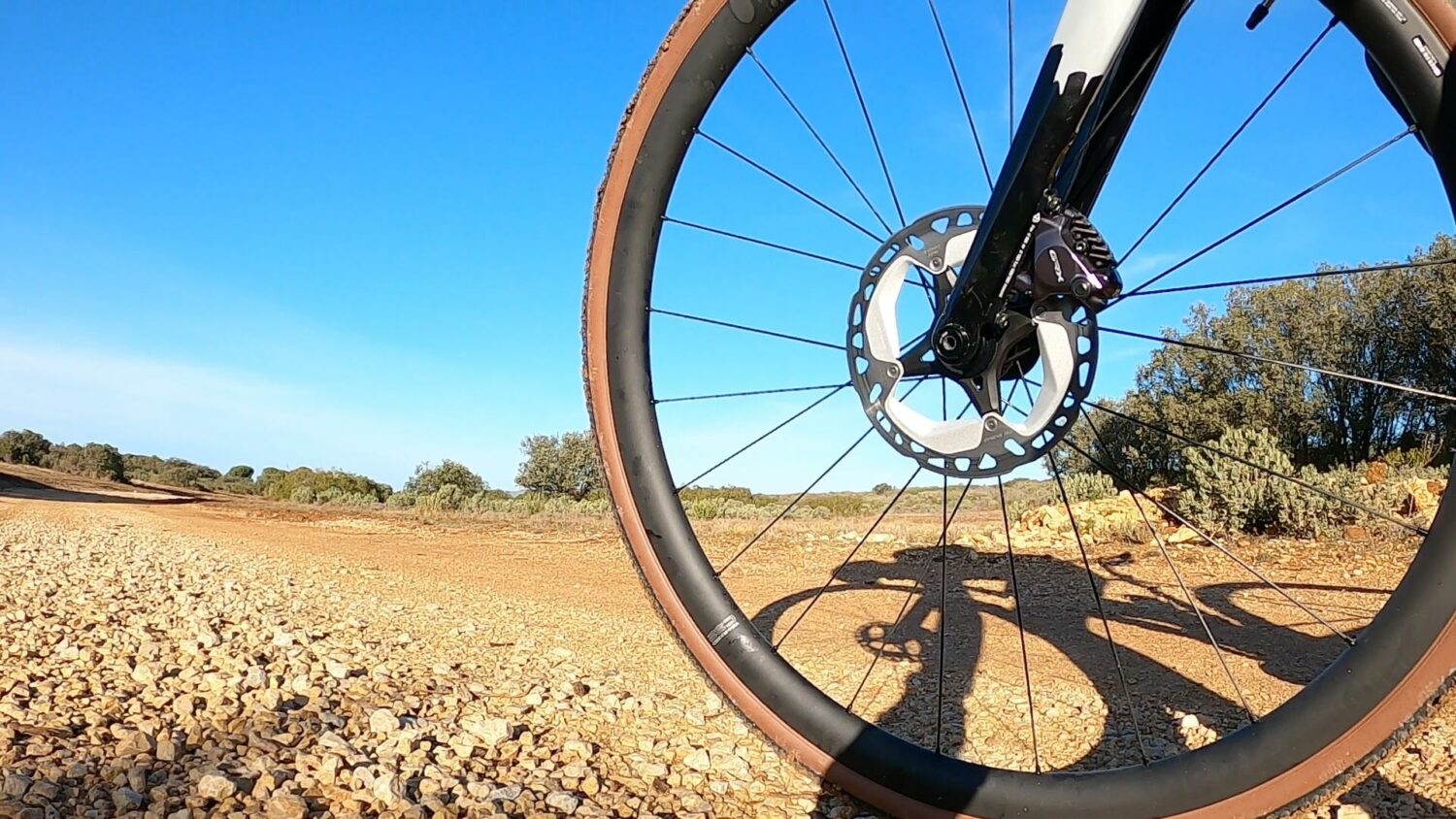 SHIMANO RX880 : des roues Gravel en carbone dynamiques, élégantes et ...