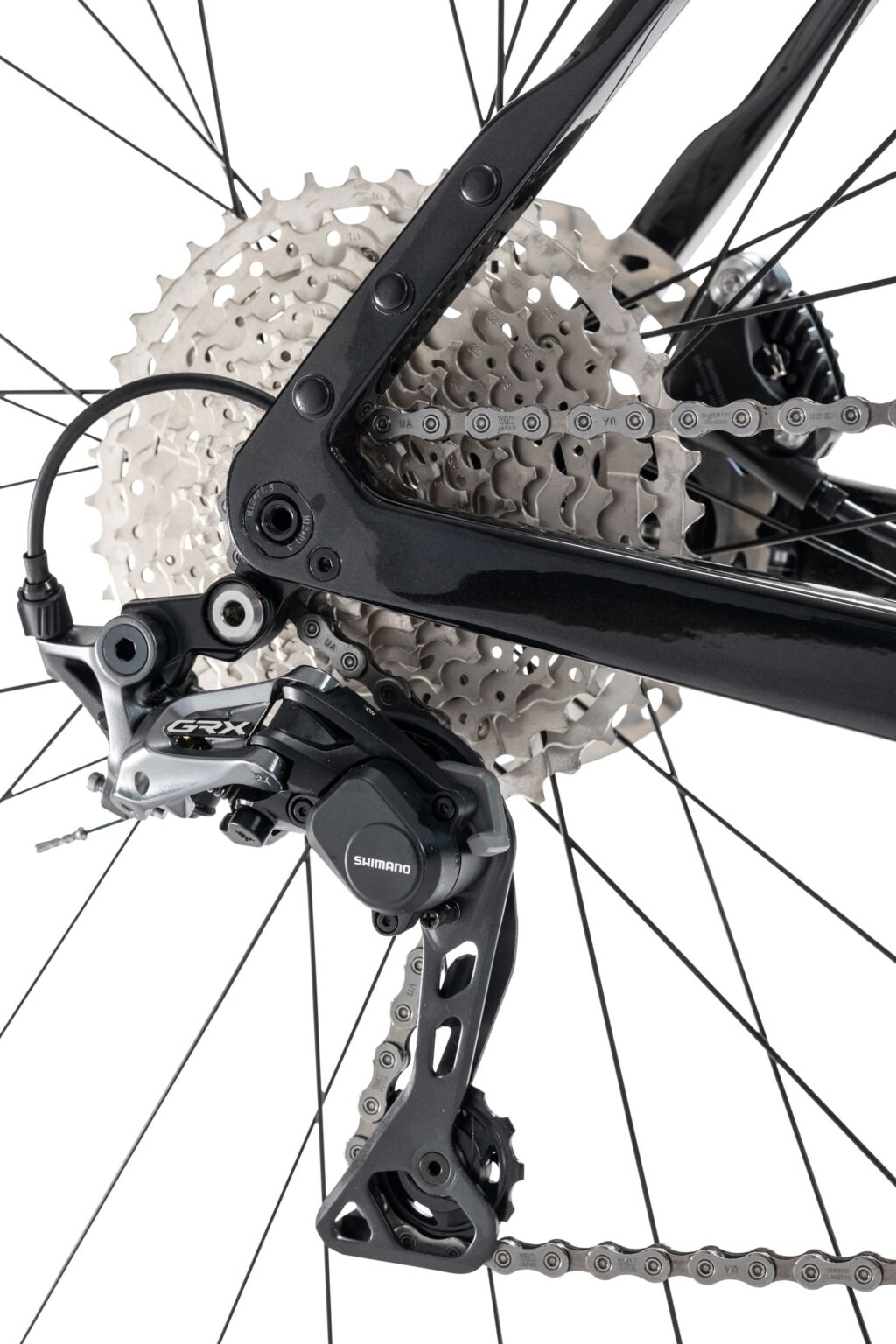 En Gitane G-Wild Alpina Carbon, explorez la liberté - Bike Café