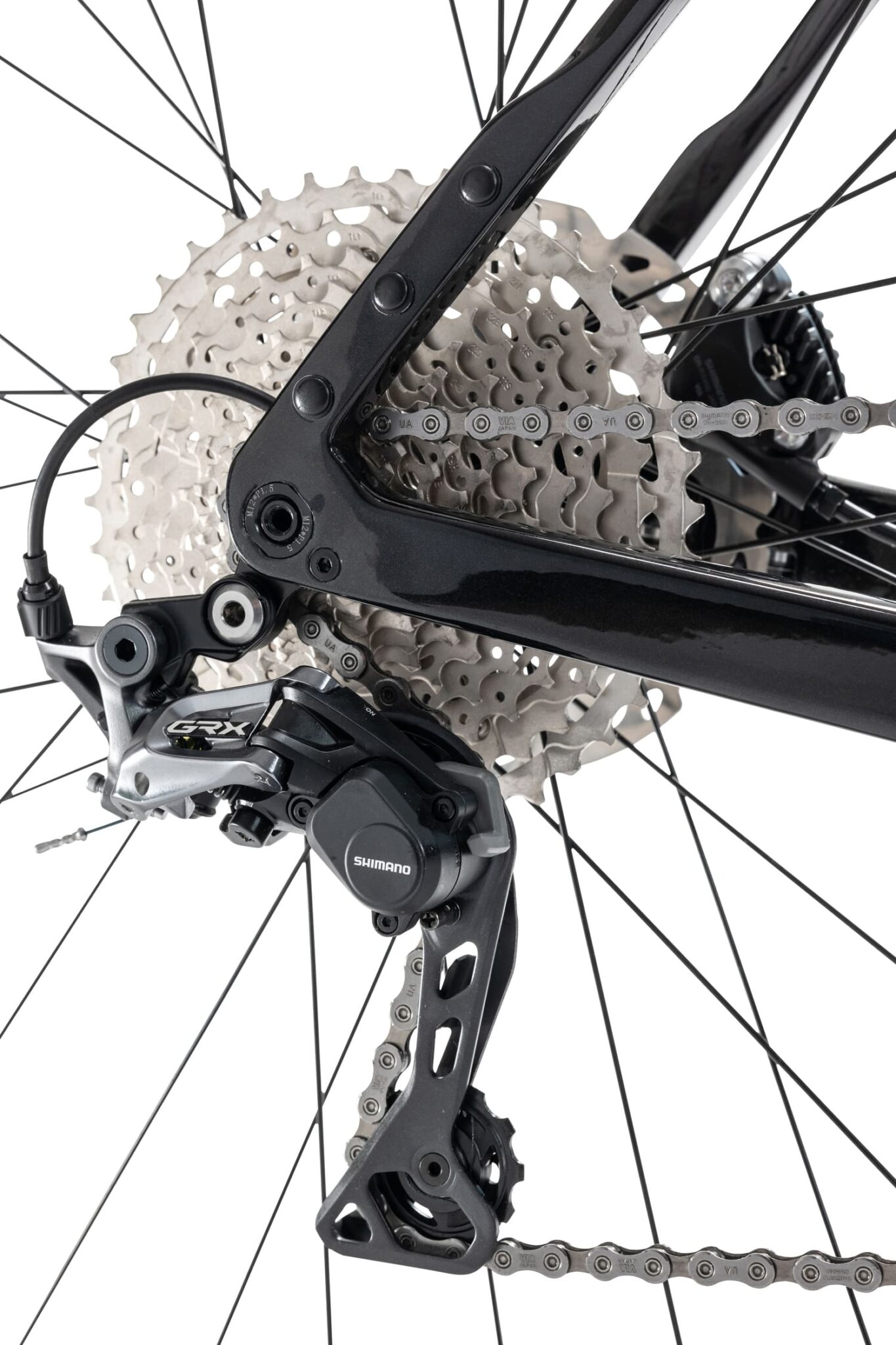 En Gitane G-Wild Alpina Carbon, explorez la liberté - Bike Café