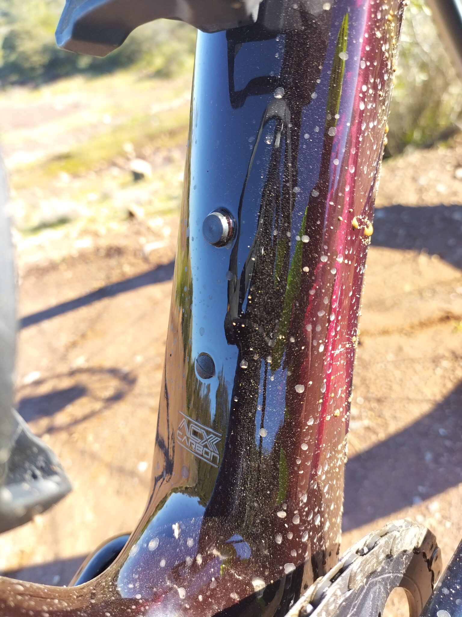 Polygon Tambora G8X : un Gravel taillé Off-Road - Bike Café
