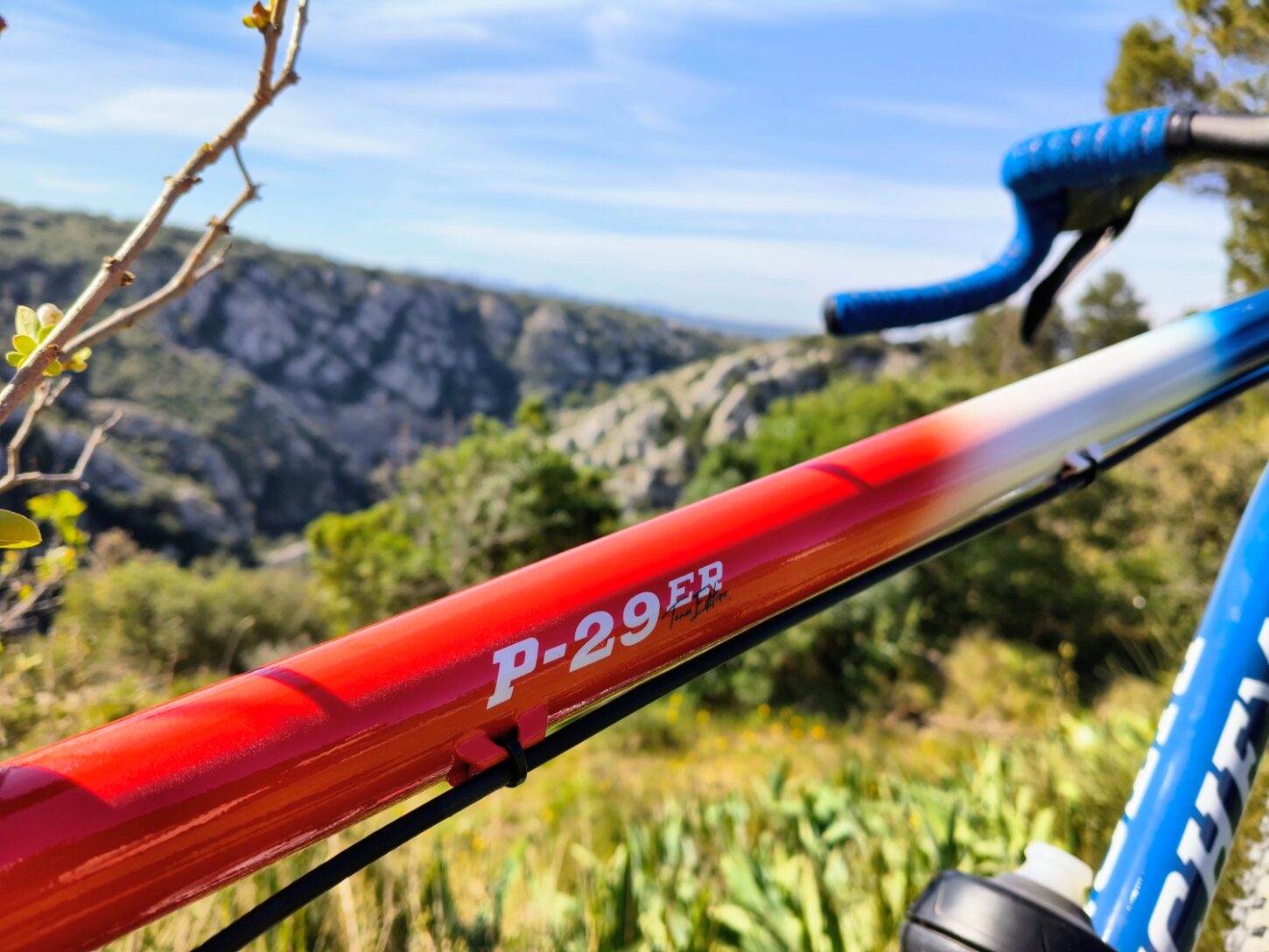 Ritchey P29er : le Monster Gravel old school - Bike Café